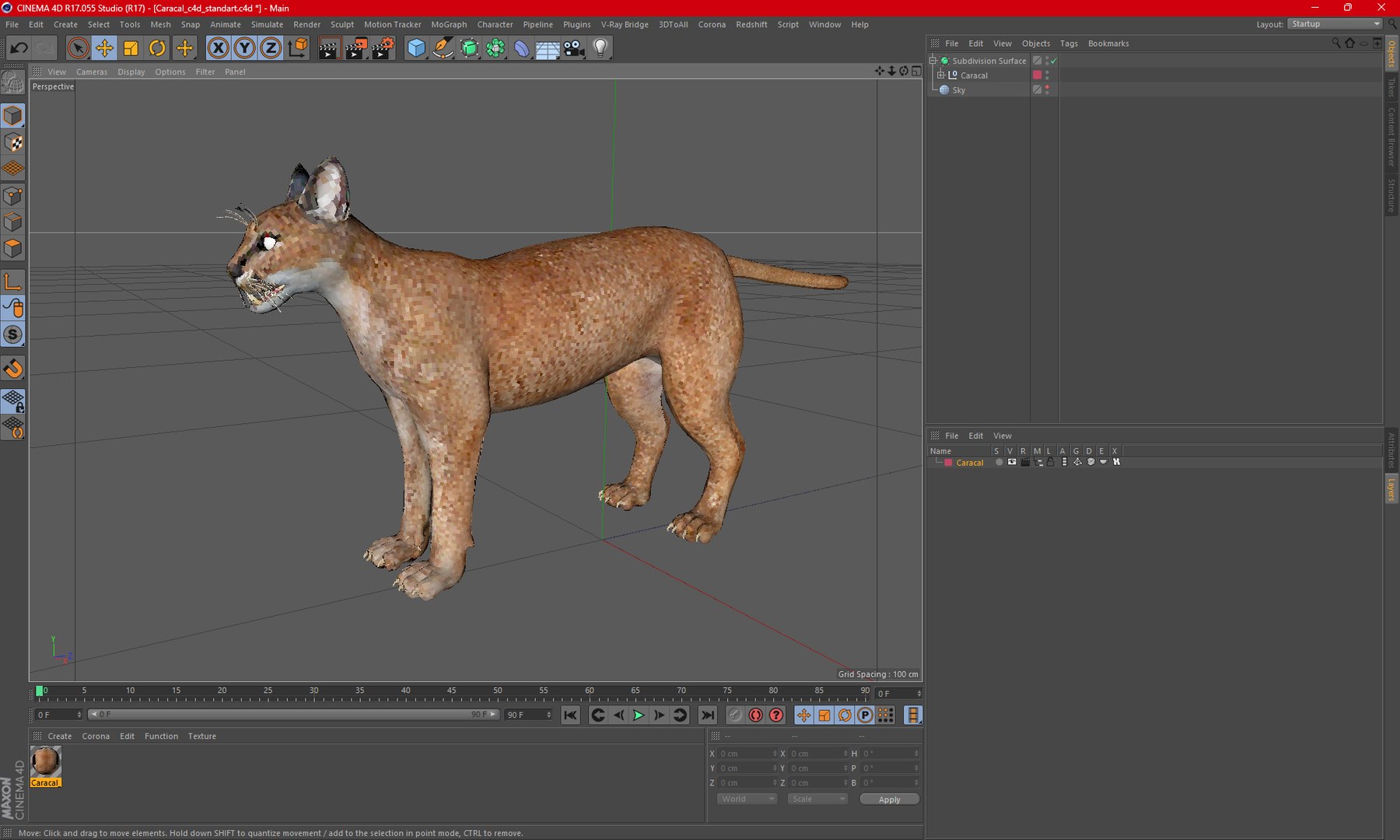 Caracal 3D Model - TurboSquid 2181787