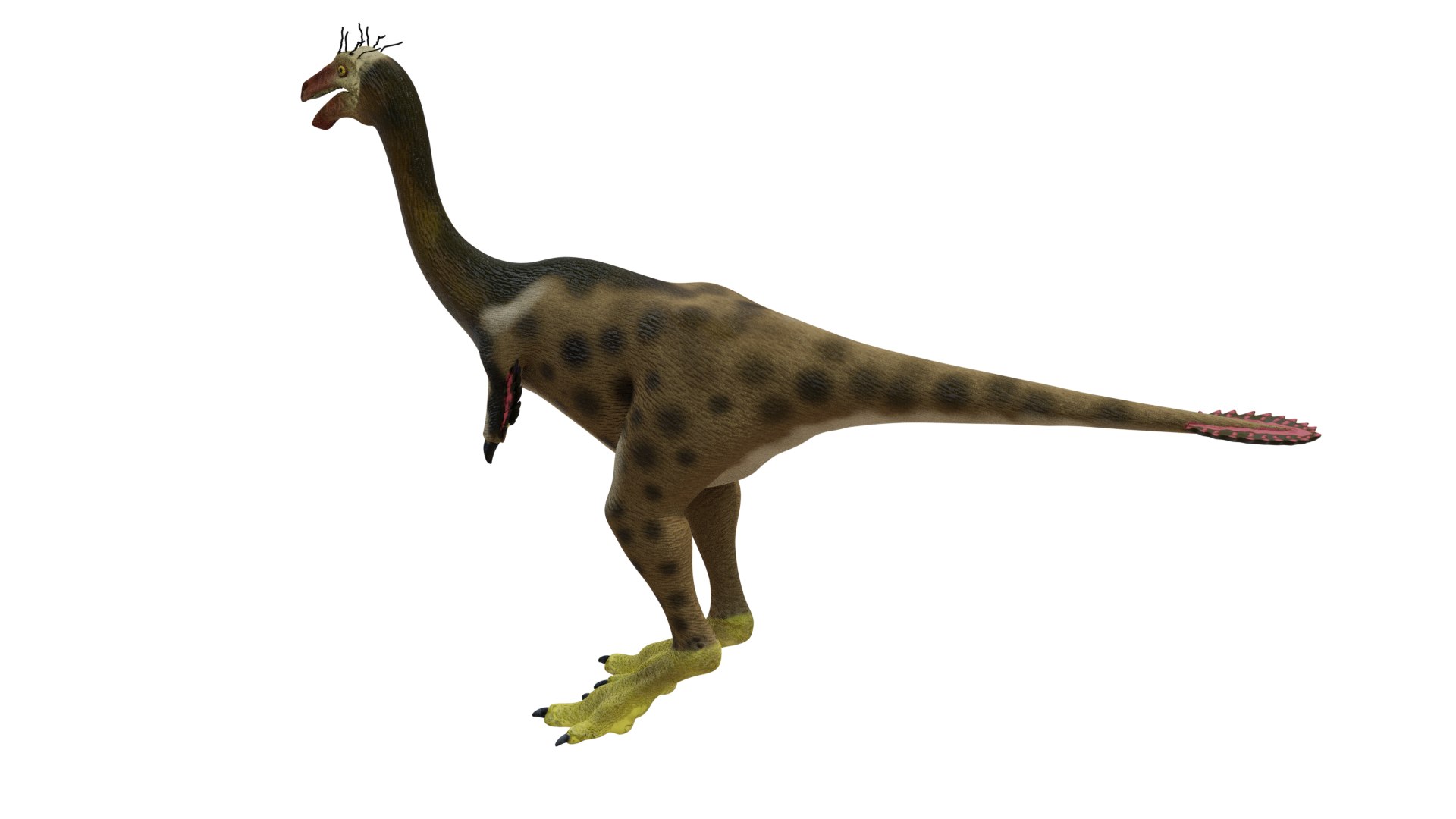 Mononykus 3D model - TurboSquid 1979193