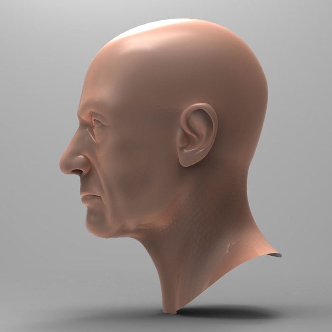 3d old human male head