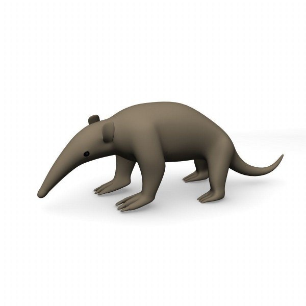 Anteater 3D Models for Download | TurboSquid