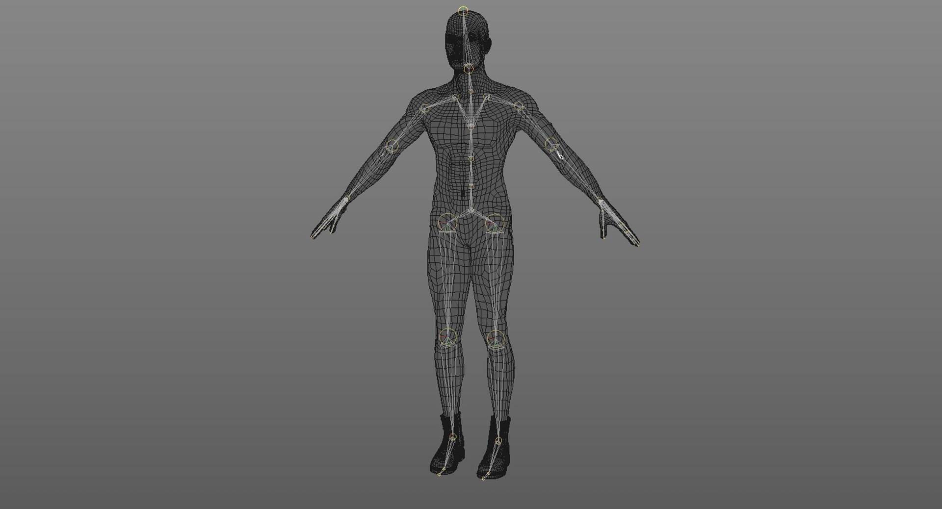 3d Model Male Rigged