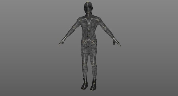 3d model male rigged