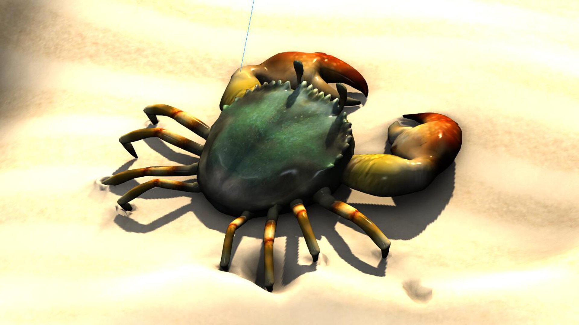 3D Model Fiddler Crab Sea Shell - TurboSquid 1713280