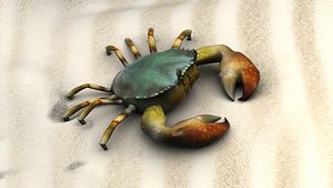 Crab 3D Models for Download | TurboSquid