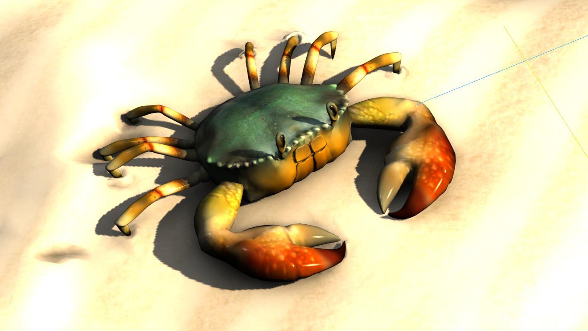 3D Model Fiddler Crab Sea Shell - TurboSquid 1713280