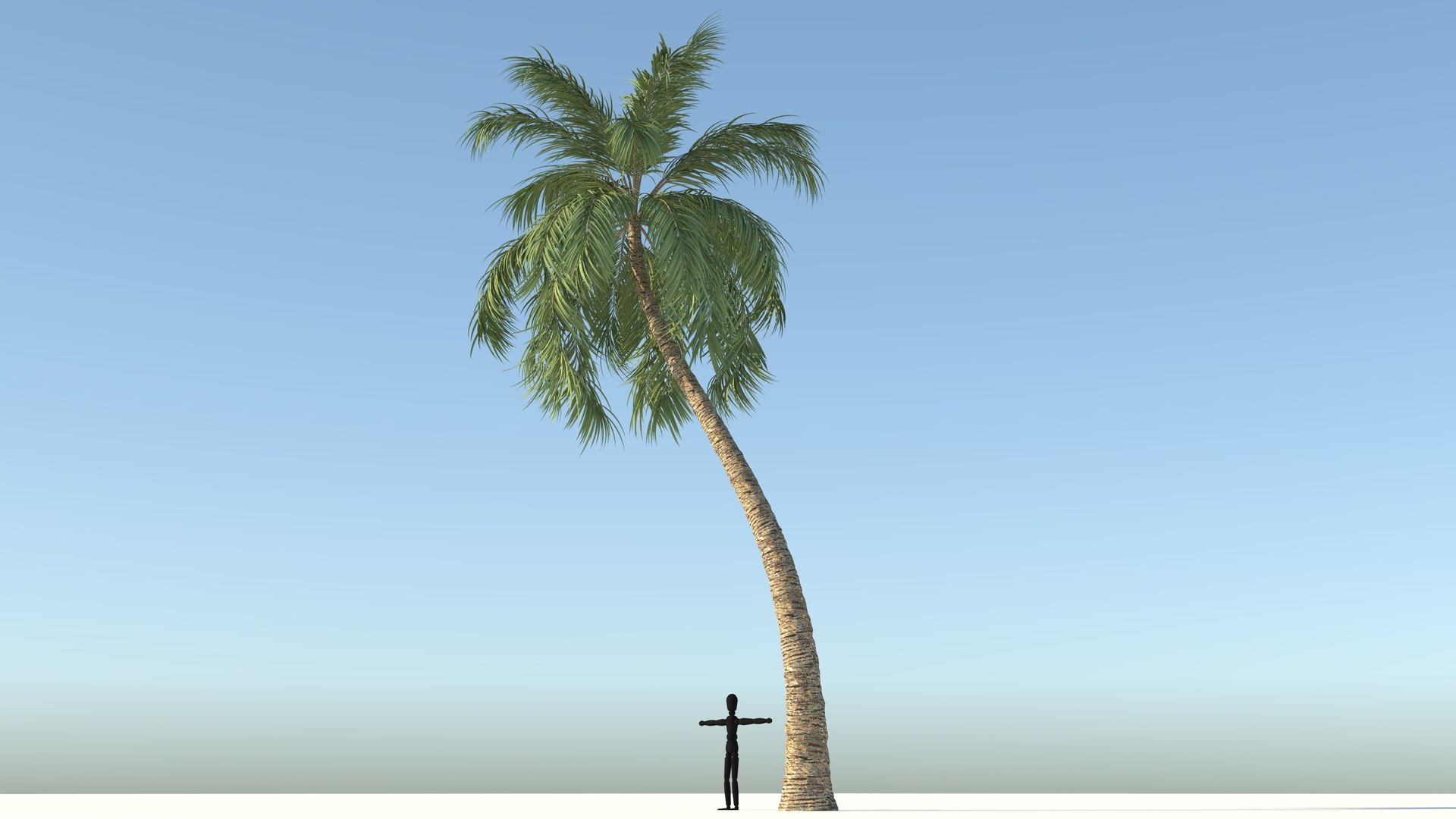 Coconut Palm Tree Model - TurboSquid 1671693