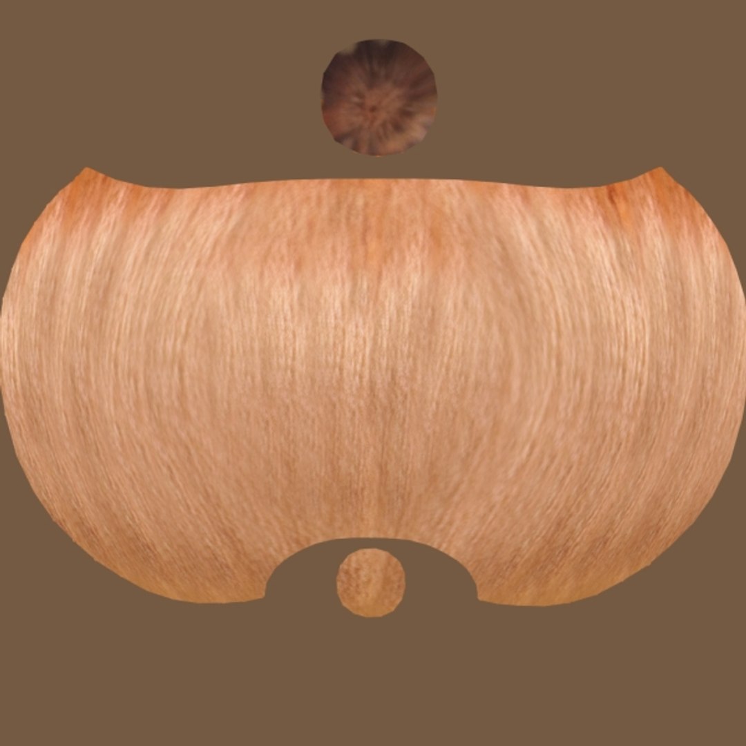 Acorn 3d Max