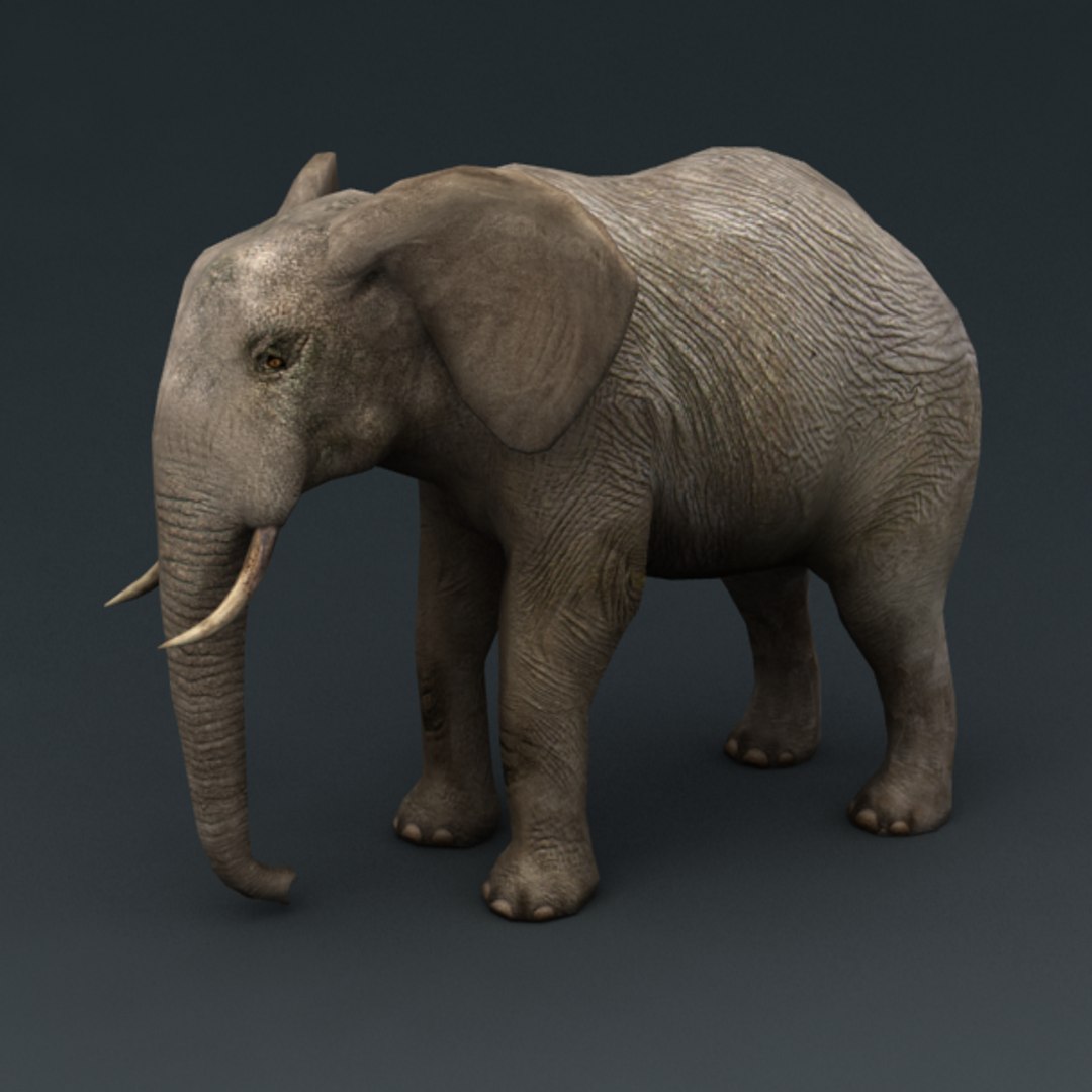Rigged Elephant 3d 3ds