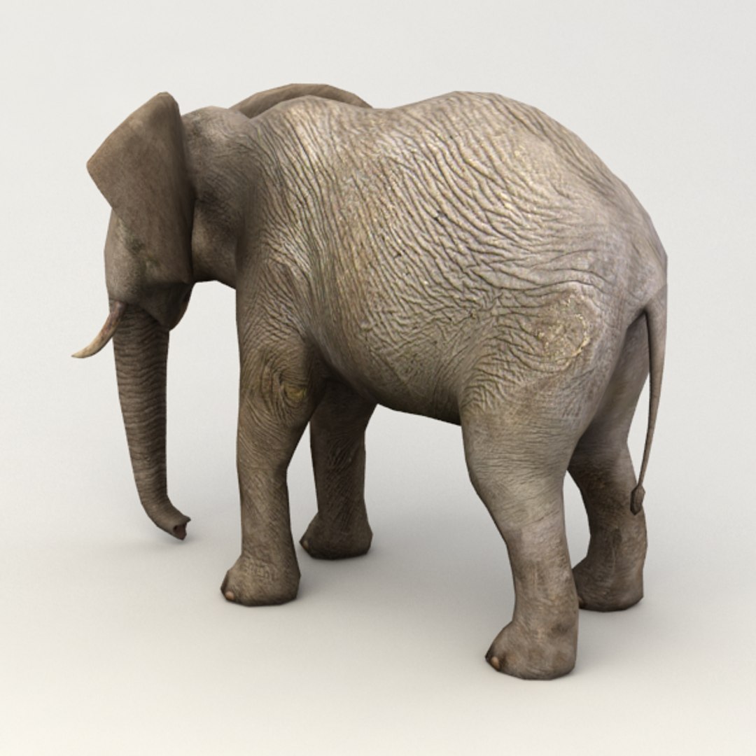 Rigged Elephant 3d 3ds