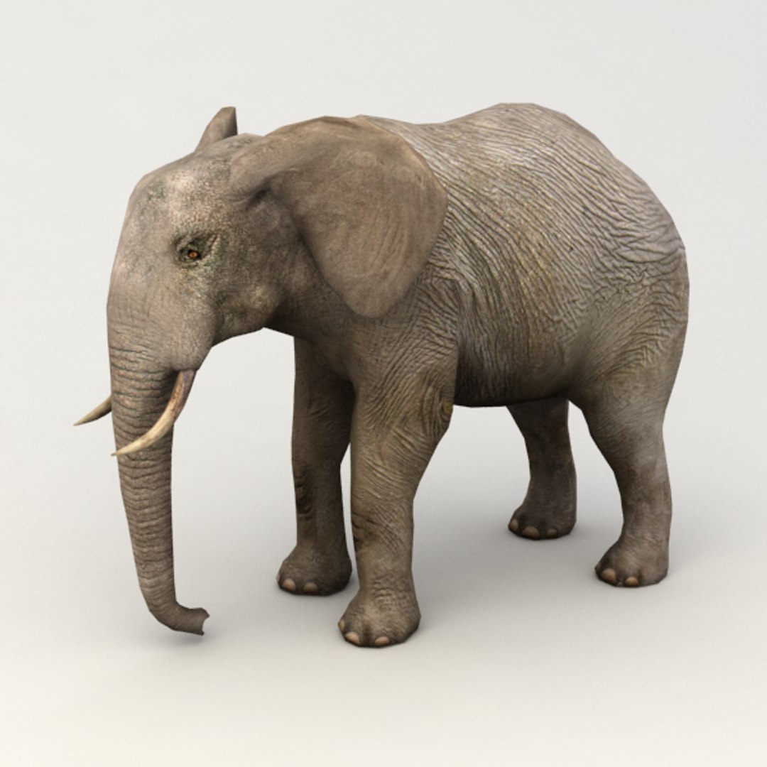 Rigged Elephant 3d 3ds