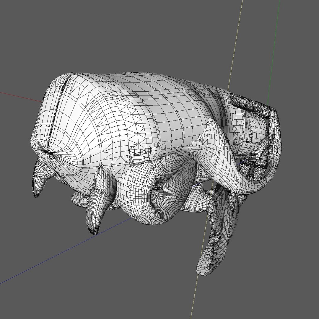 Rat Skull Animations 3d Model