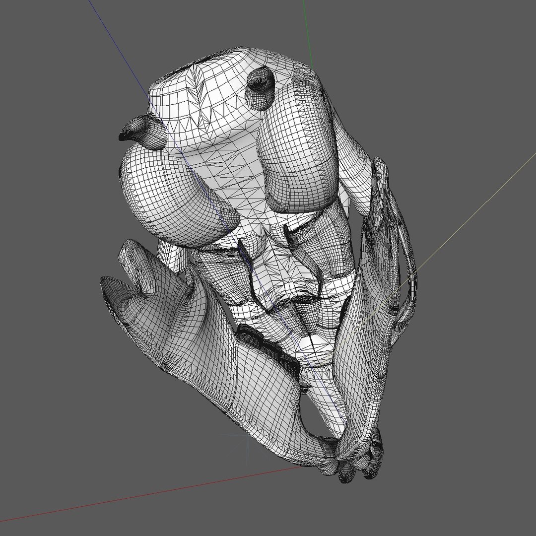 Rat Skull Animations 3d Model