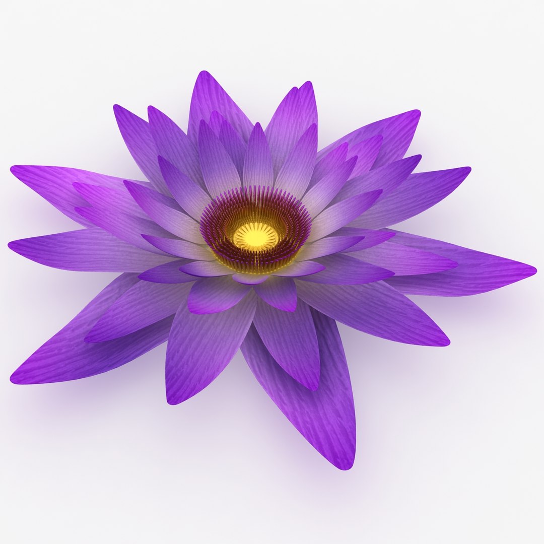 Realistic Flower 3d Model
