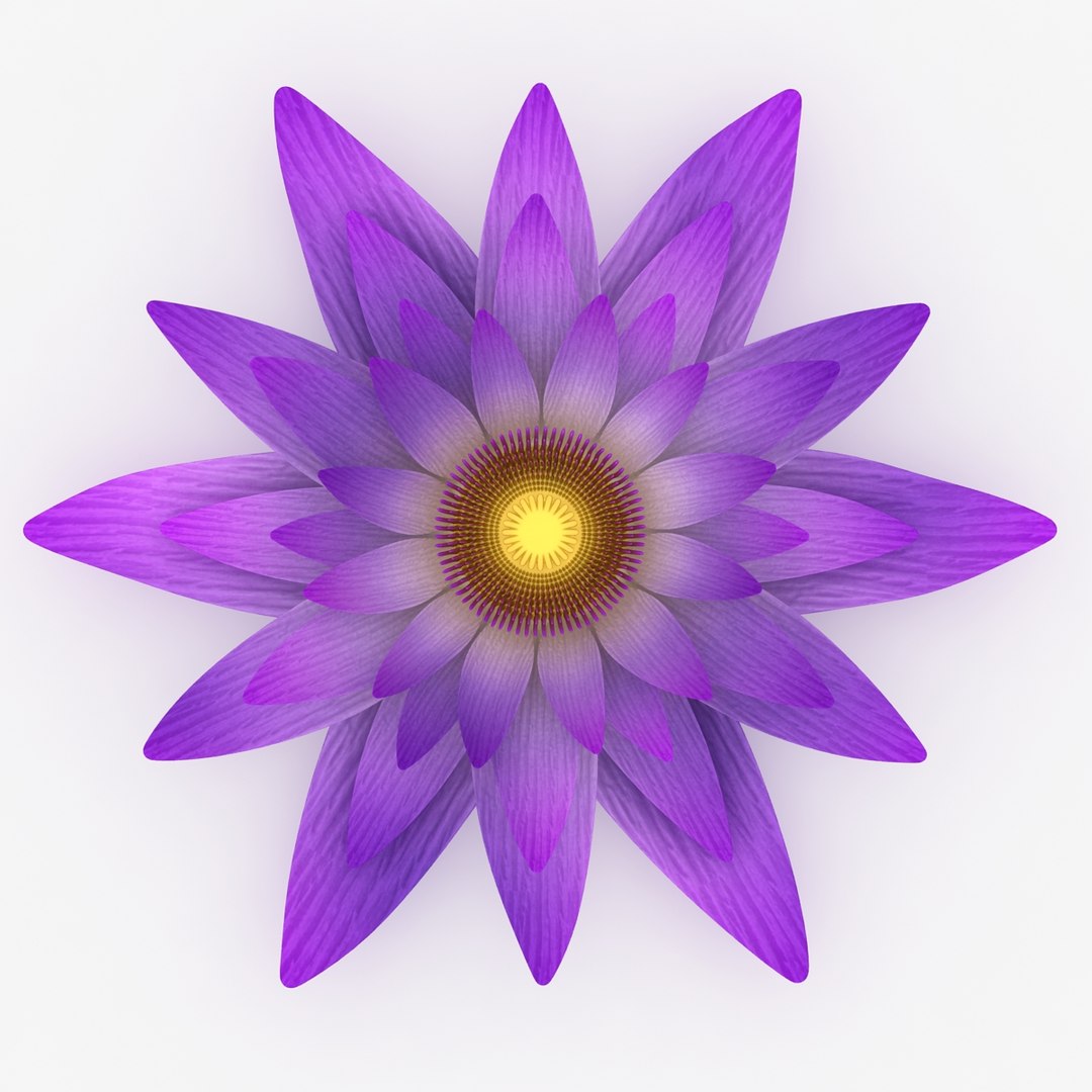 Realistic Flower 3d Model