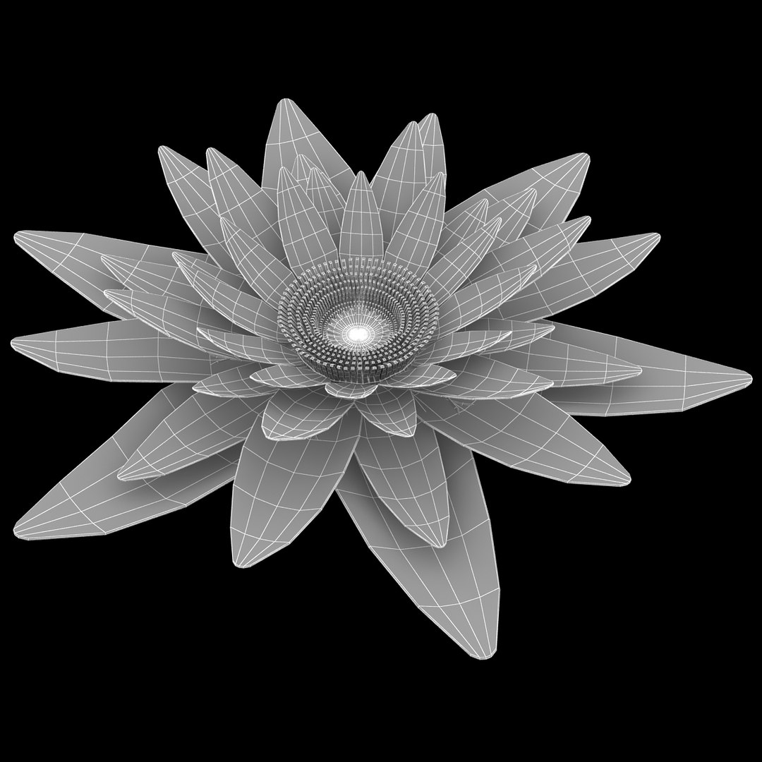Realistic Flower 3d Model