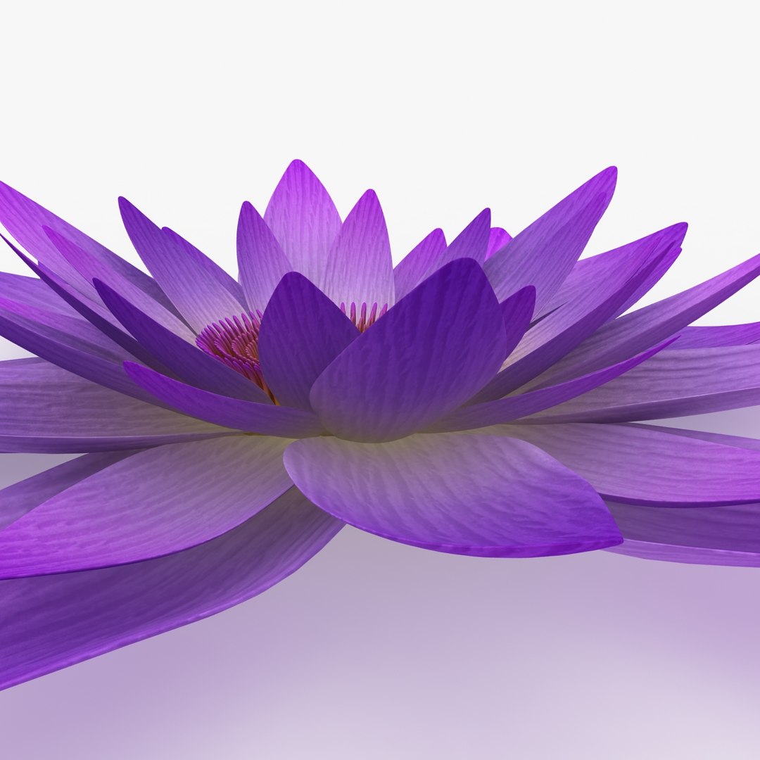 Realistic Flower 3d Model