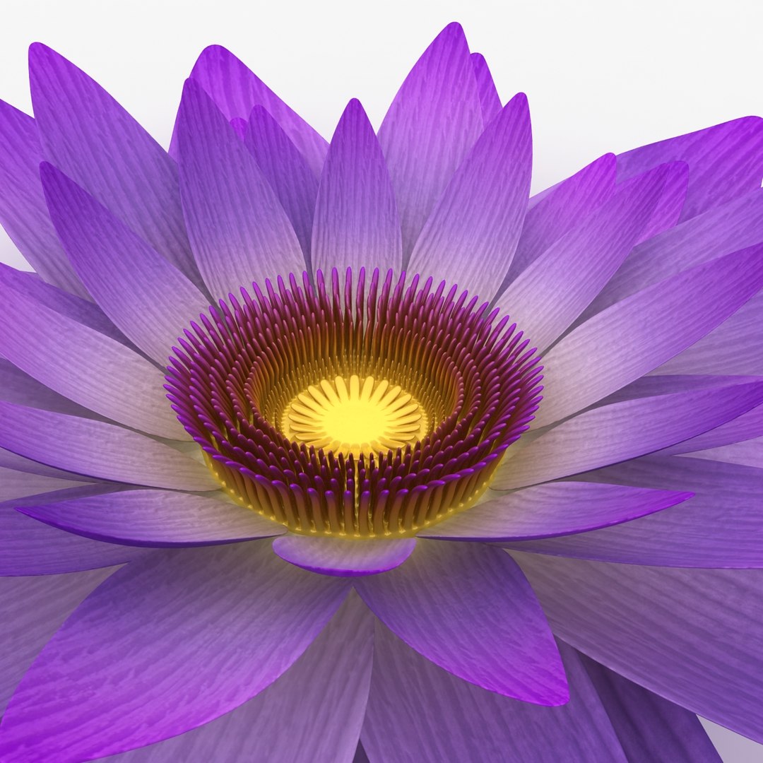 Realistic Flower 3d Model
