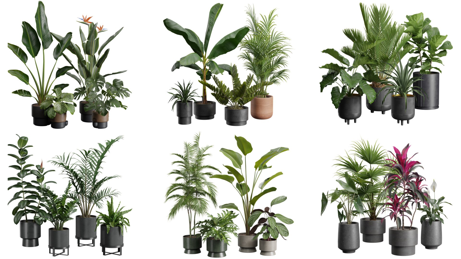 3D Indoor Plants Collection 01 - TurboSquid 2049351