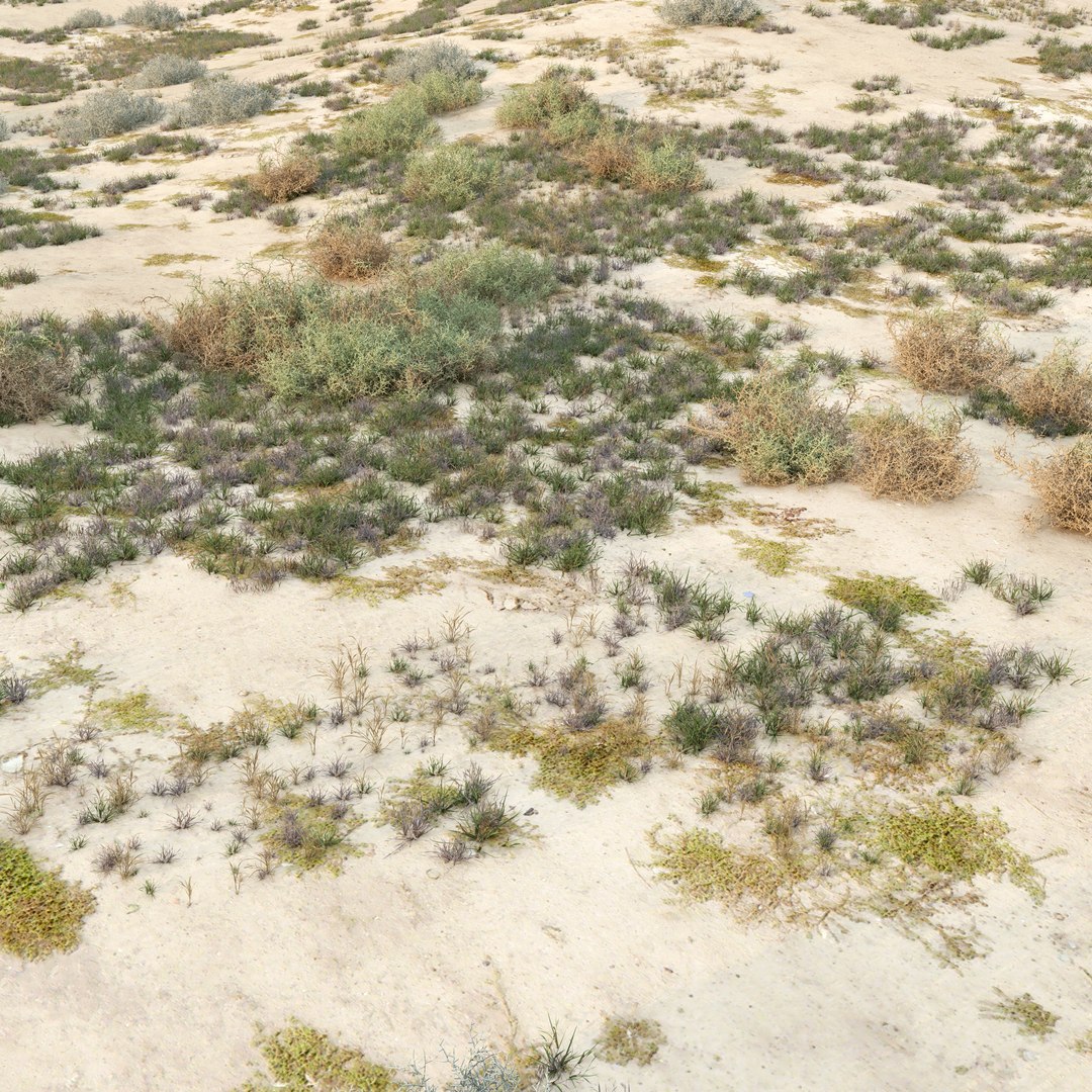 3D Desert Biome - TurboSquid 2429413