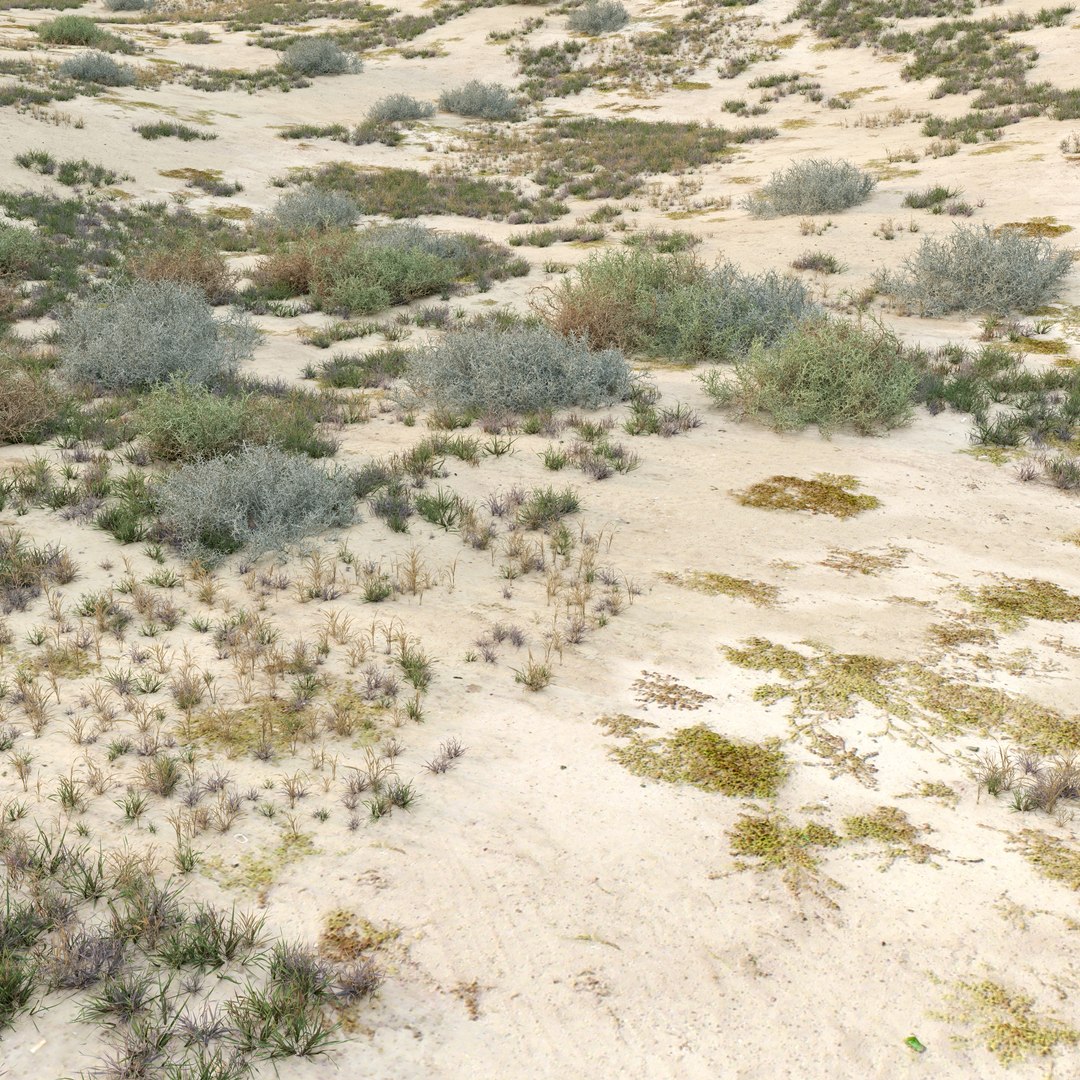 3D Desert Biome - TurboSquid 2429413