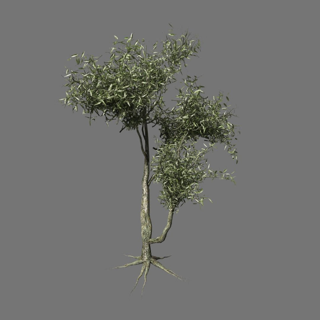 Hq Olive Tree 3d 3ds