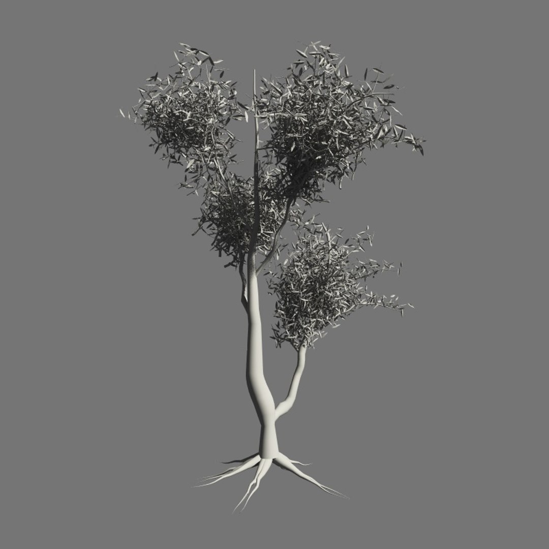 Hq Olive Tree 3d 3ds