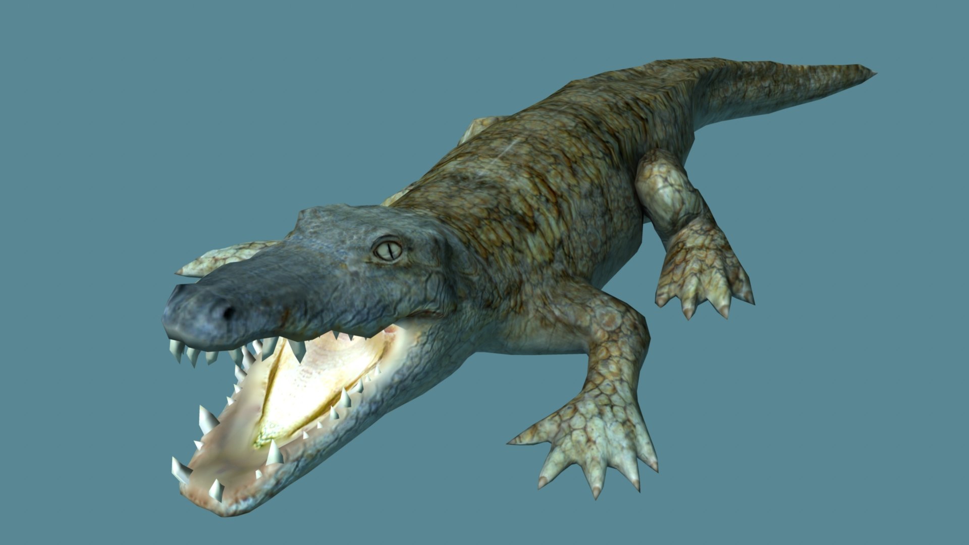 Crocodile01 3D Model - TurboSquid 2211158