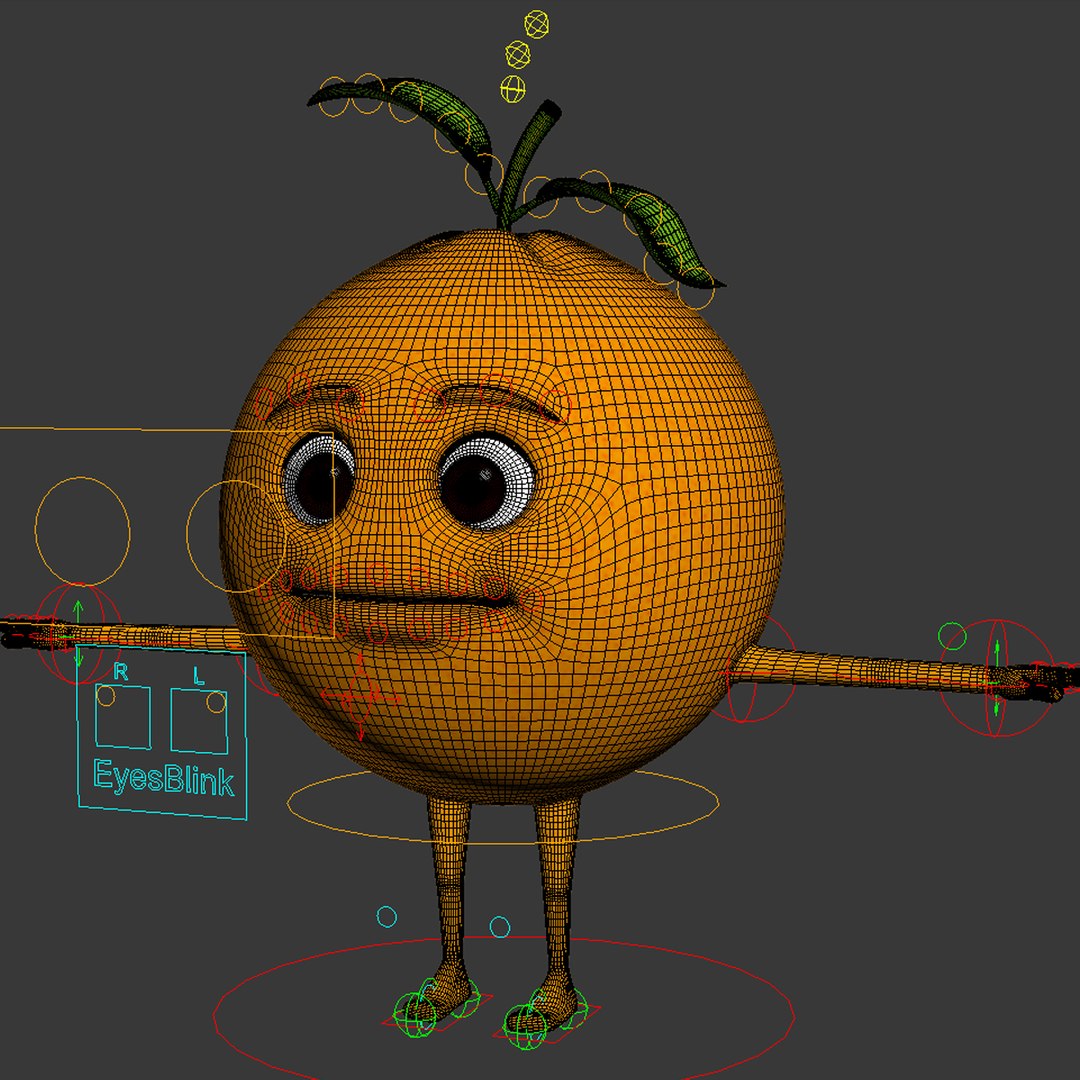 Dugm07 Rigged Cartoon Orange 3d Model