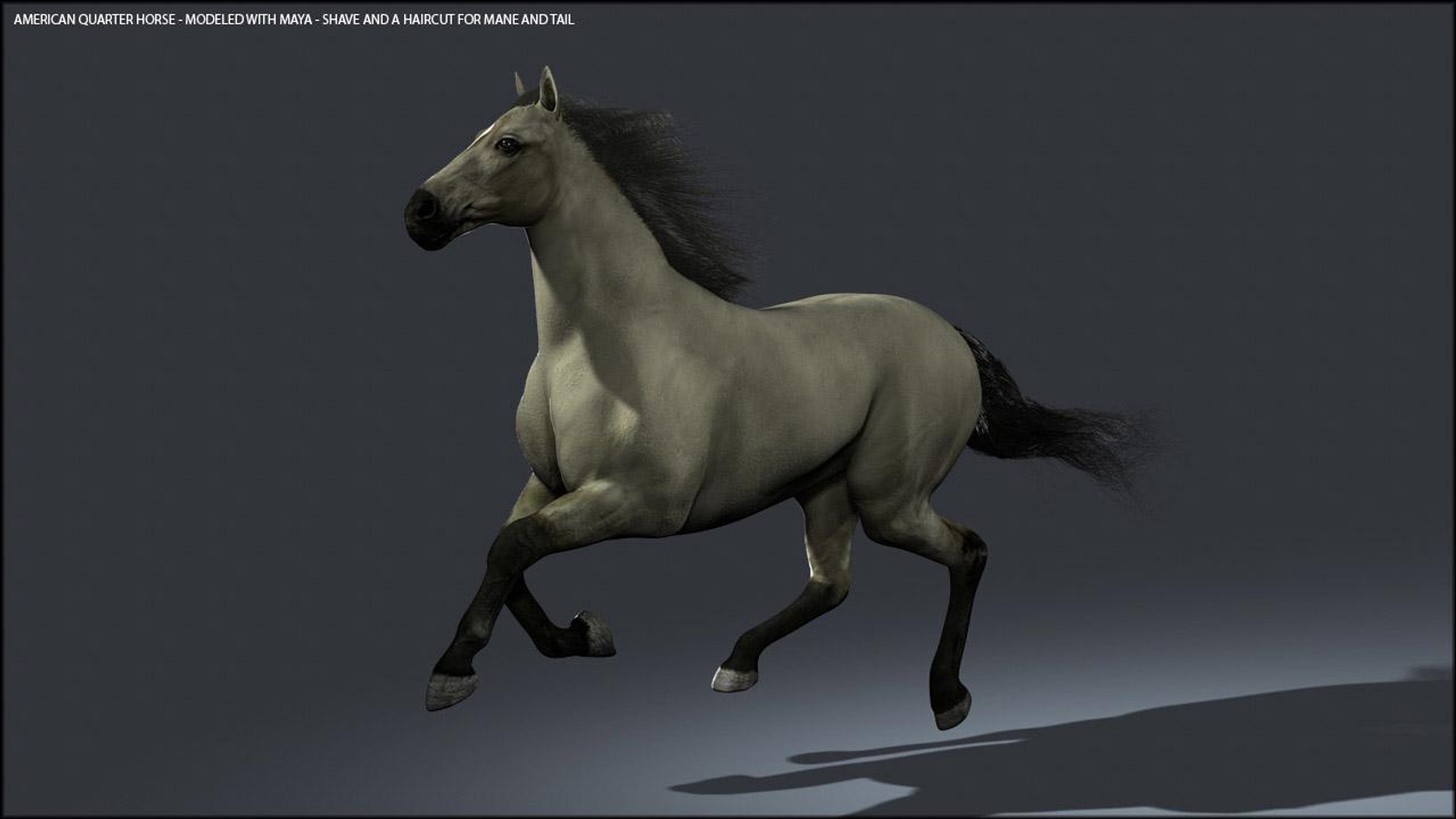 Realistic Horse 3d Model