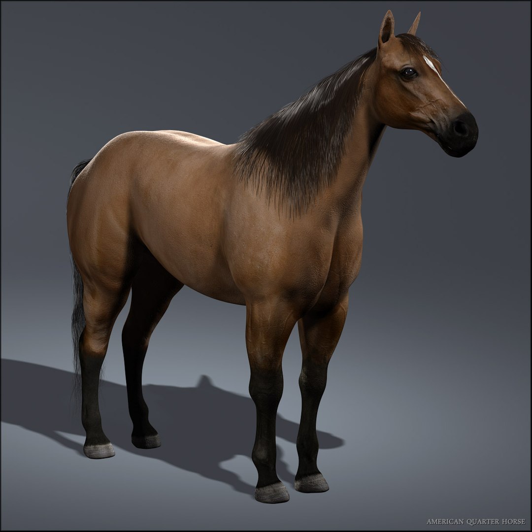realistic horse 3d model