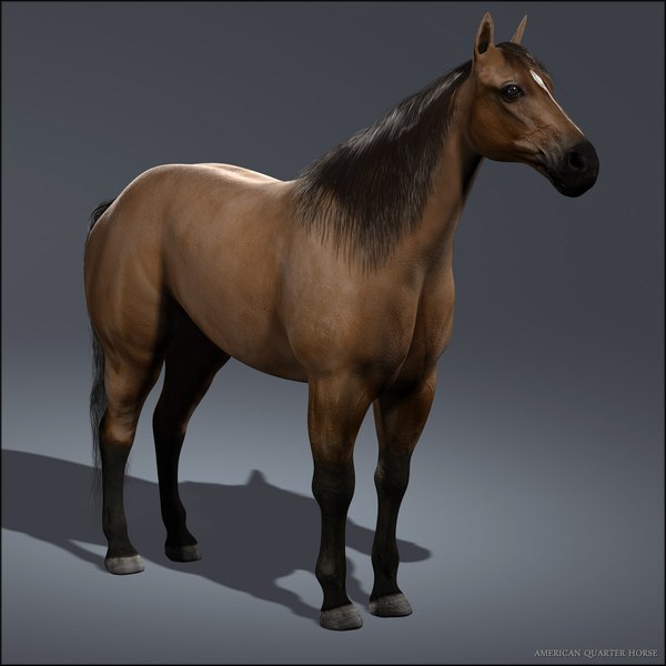 realistic horse 3d model