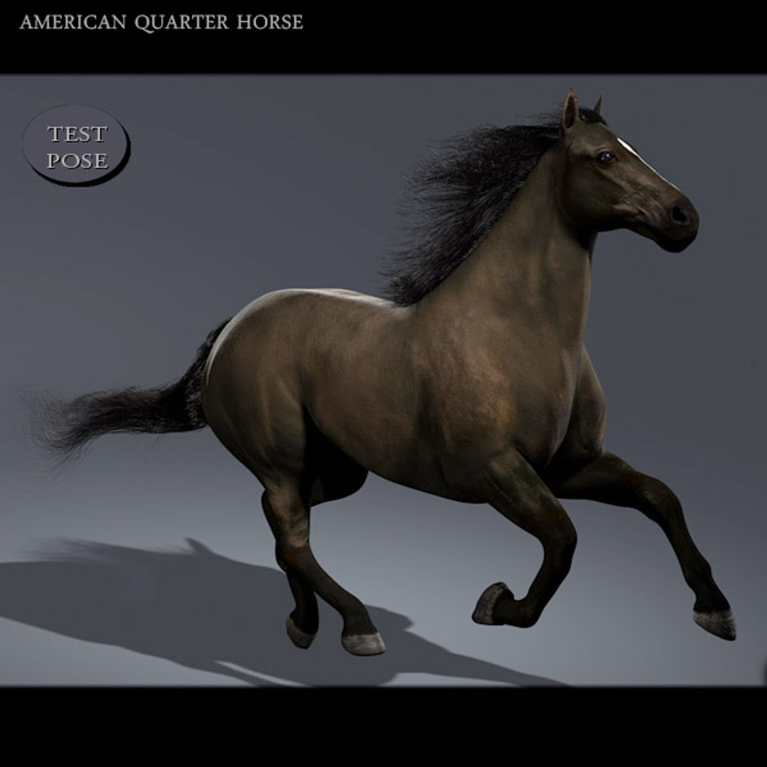 Realistic Horse 3d Model