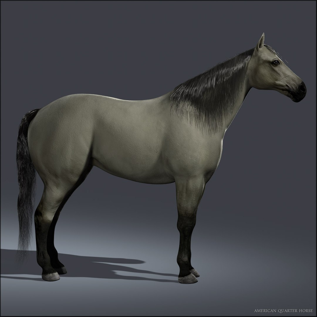 Realistic Horse 3d Model
