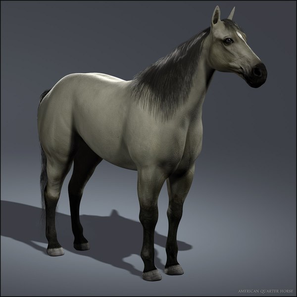 realistic horse 3d model