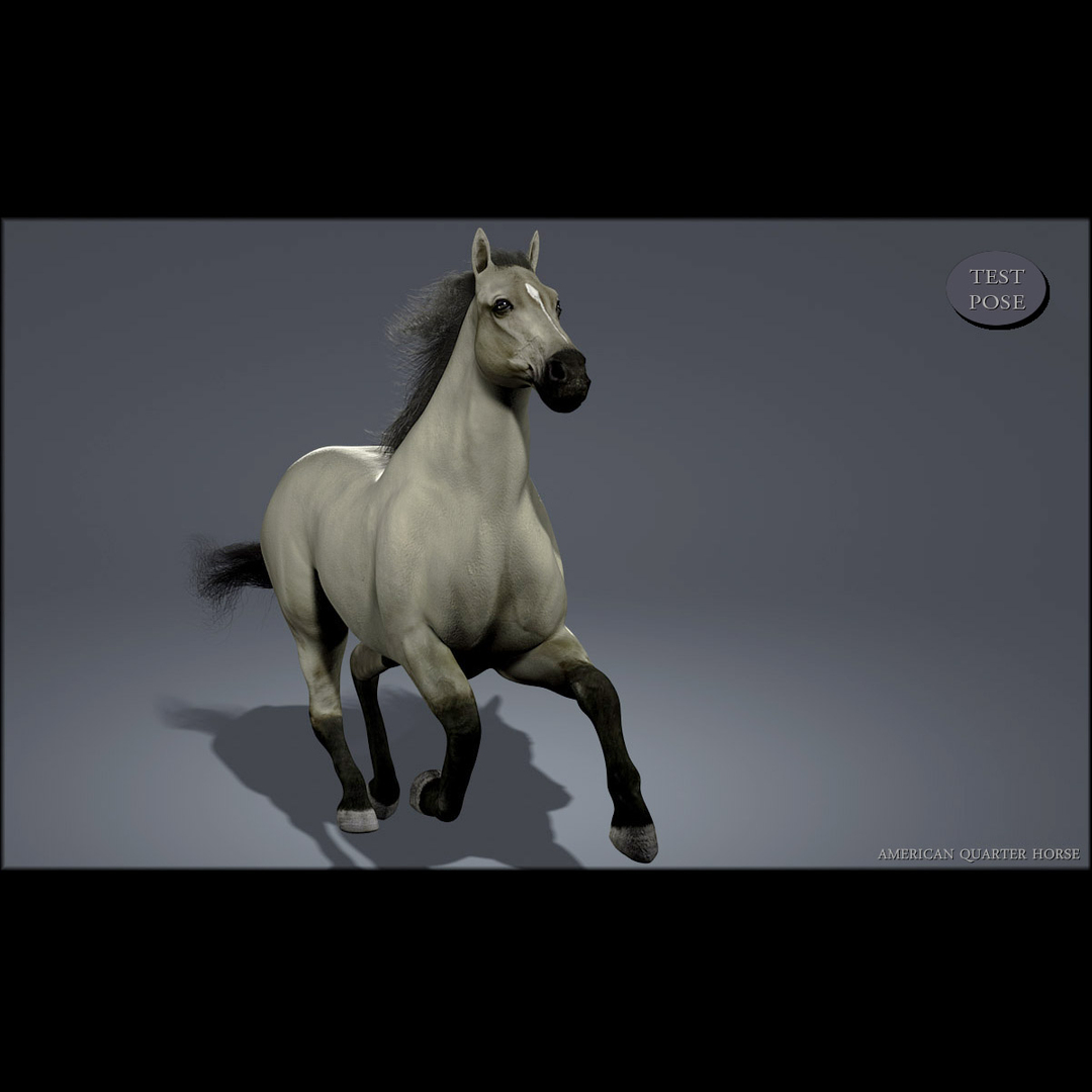 realistic horse 3d model