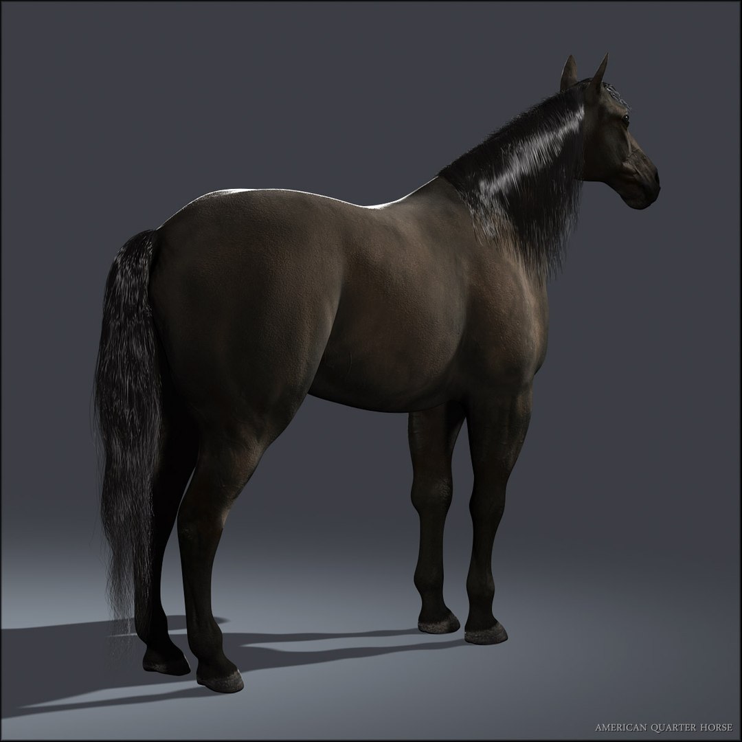 Realistic Horse 3d Model