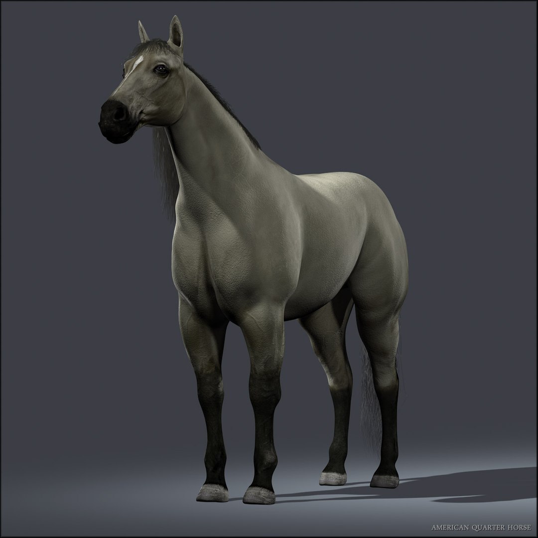 Realistic Horse 3d Model