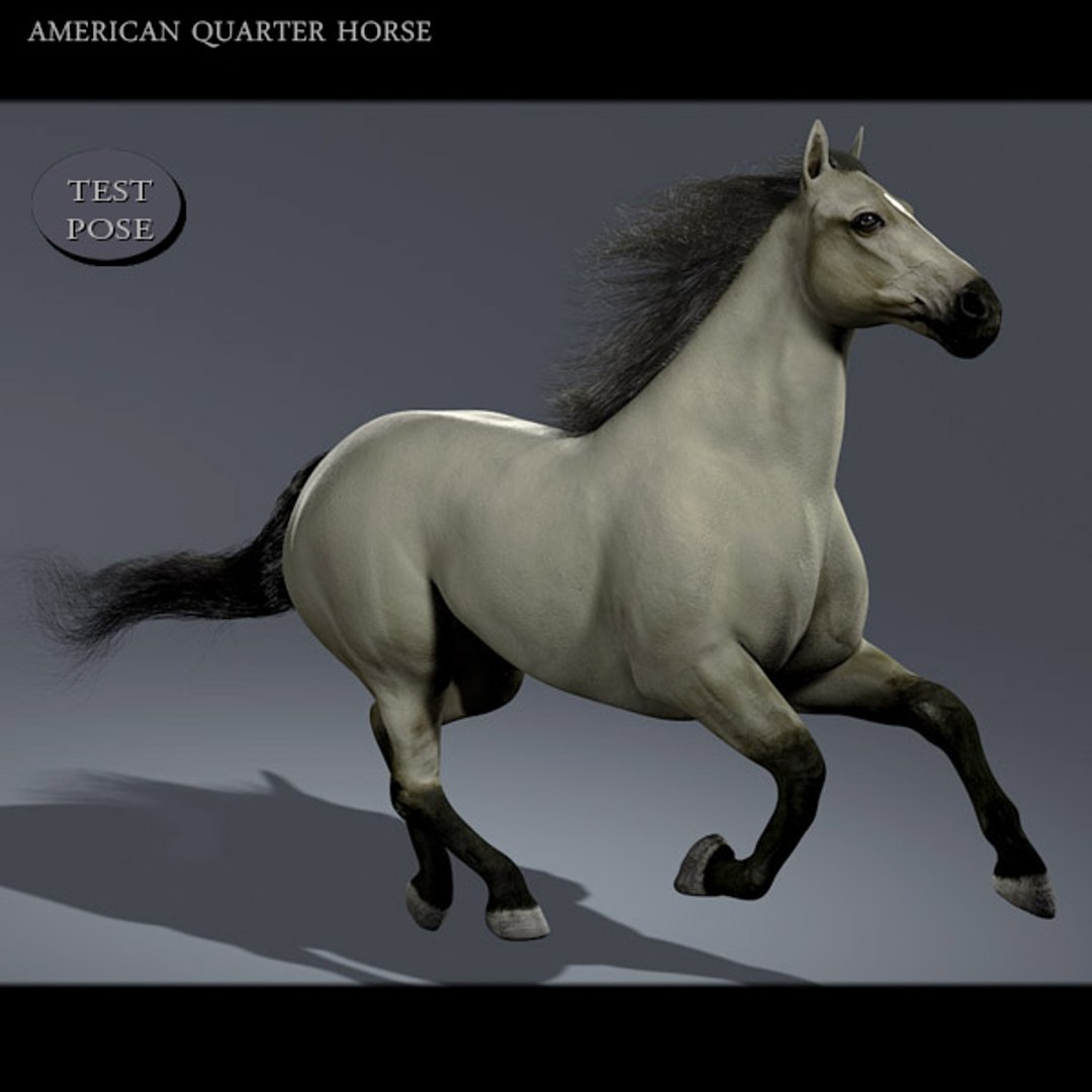 Realistic Horse 3d Model