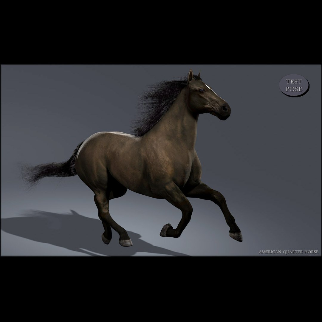 Realistic Horse 3d Model