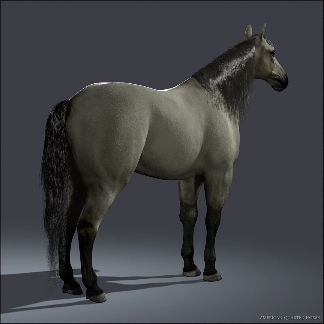 Realistic Horse 3d Model