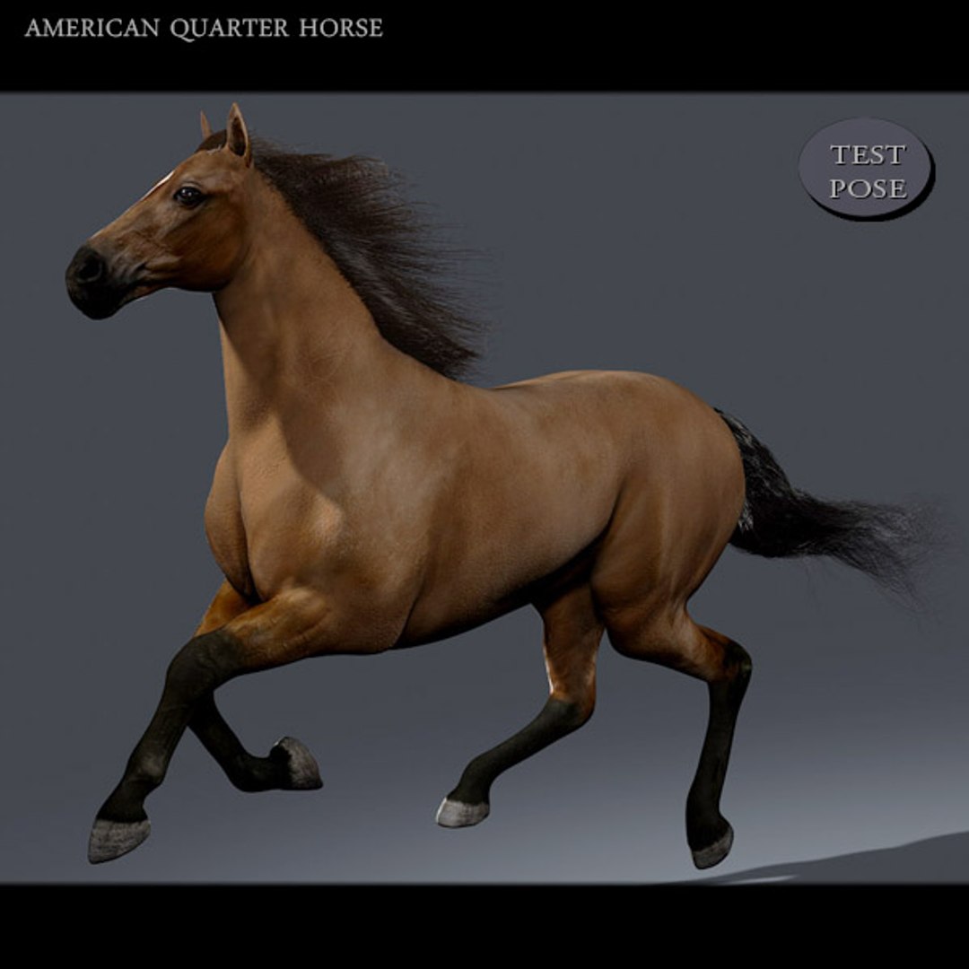 Realistic Horse 3d Model