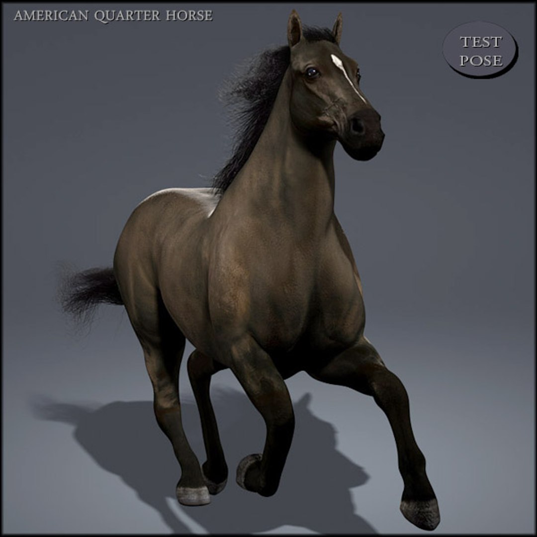 Realistic Horse 3d Model
