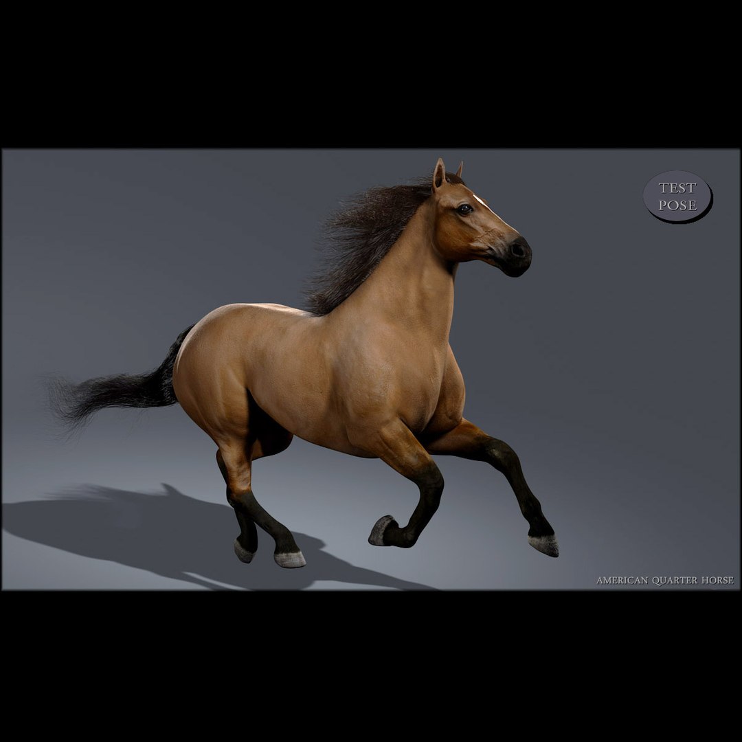 Realistic Horse 3d Model