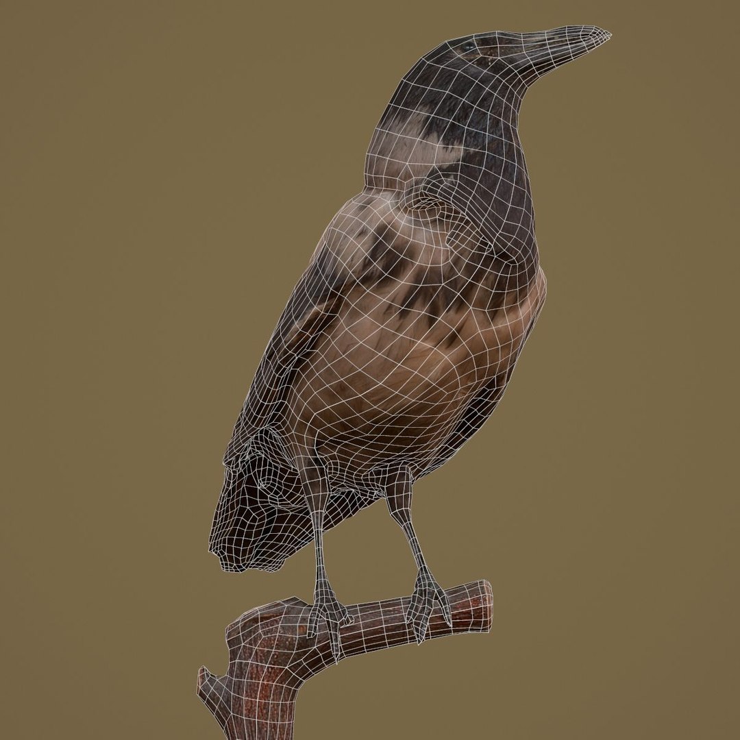 3D Animal Digital Photogrammetry - TurboSquid 1162974