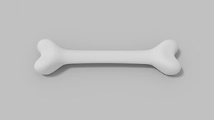 Bone 3D Models for Download | TurboSquid