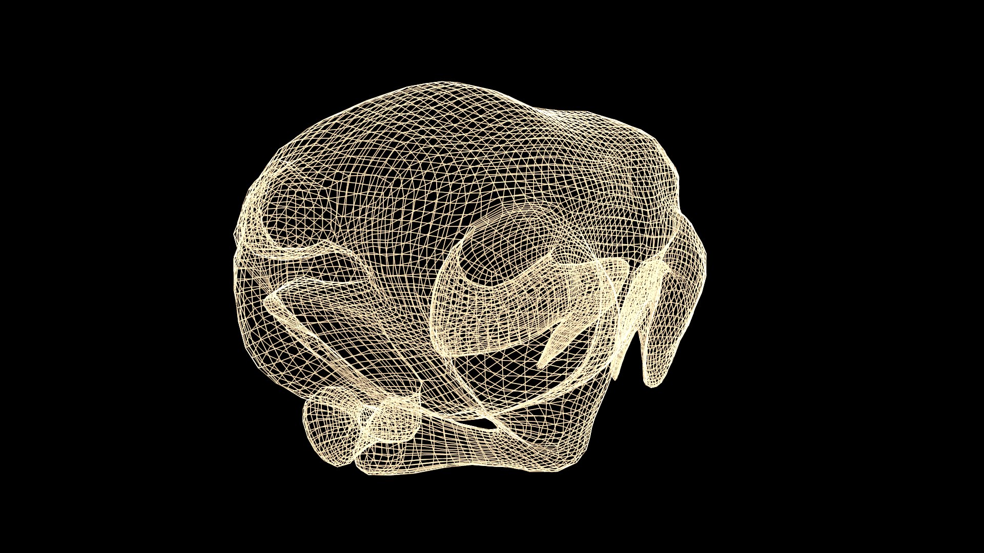 TURKEY 3D model - TurboSquid 1954742