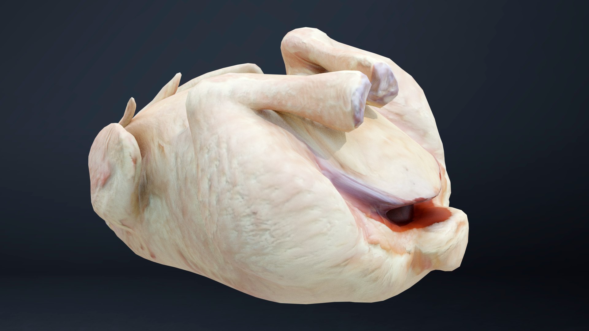 TURKEY 3D model - TurboSquid 1954742