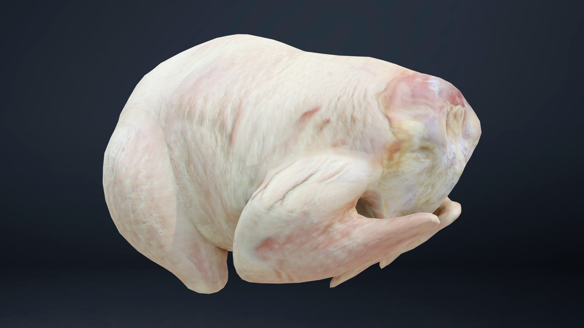 TURKEY 3D model - TurboSquid 1954742