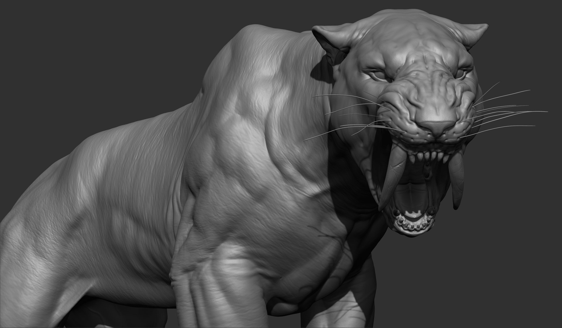 3D Sabertooth - No Presupported - TurboSquid 1854405