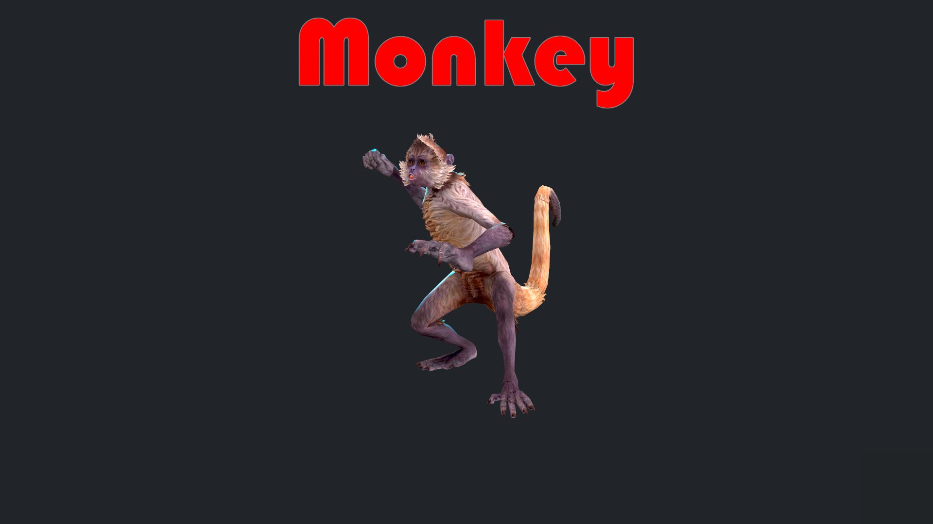 3D Monkey Character Model - TurboSquid 2004197